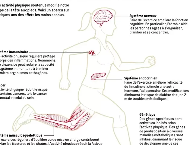 Exemples de force dans le sport, la science et la vie quotidienne